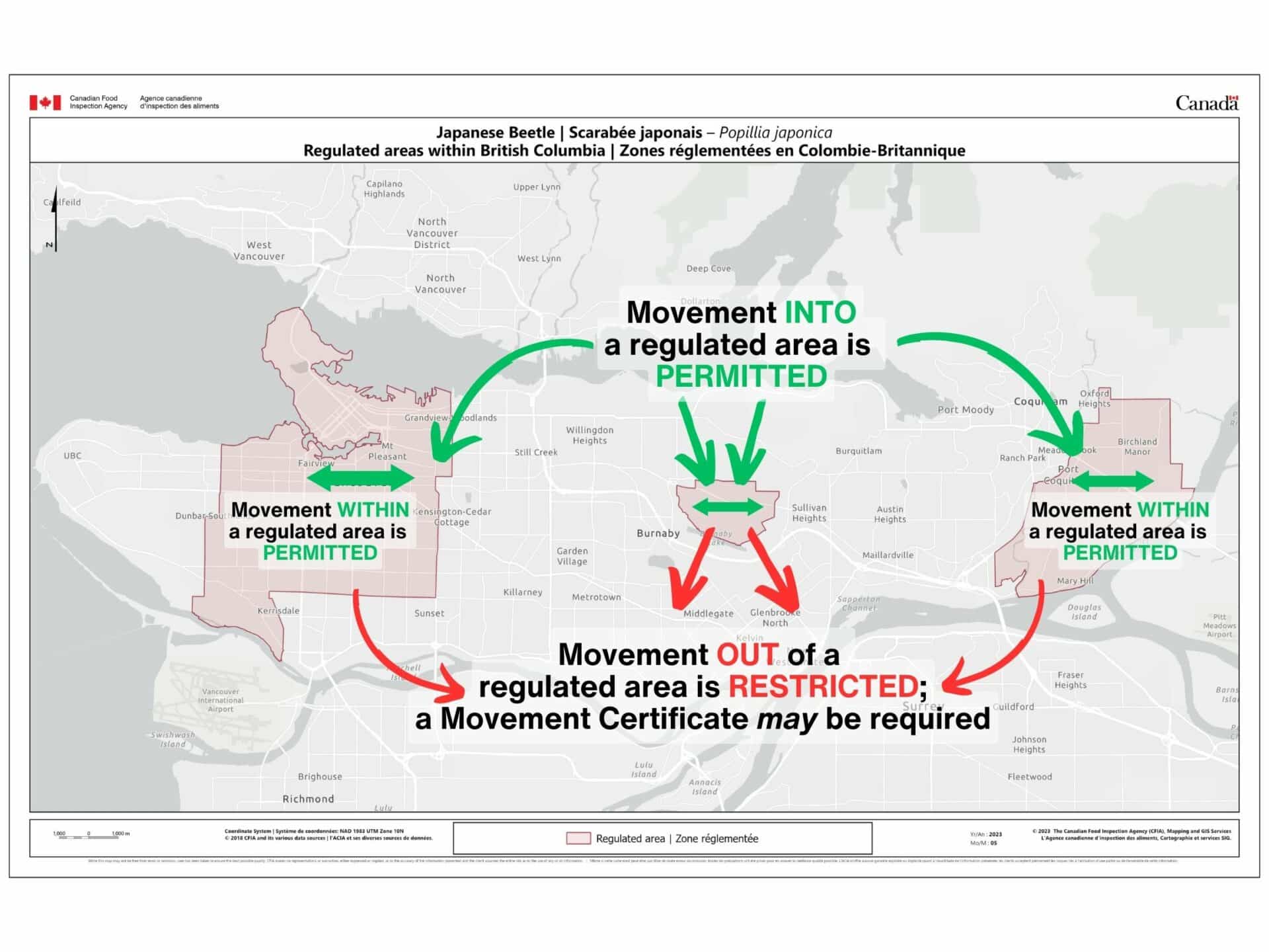 Japanese beetle - Invasive Species Council of British Columbia