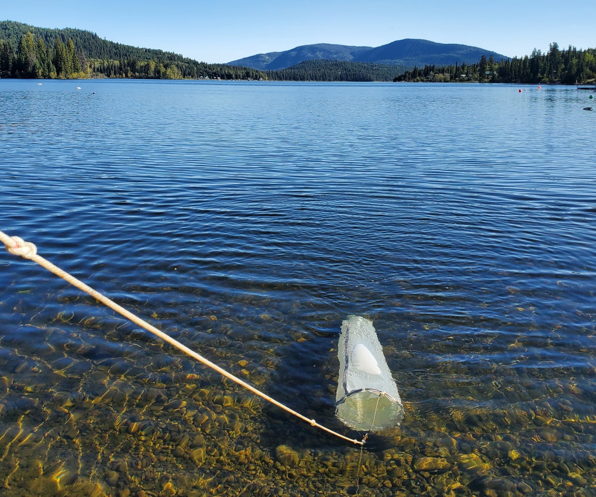 Early Detectors: A Summer of Mussel Monitoring - Invasive Species ...