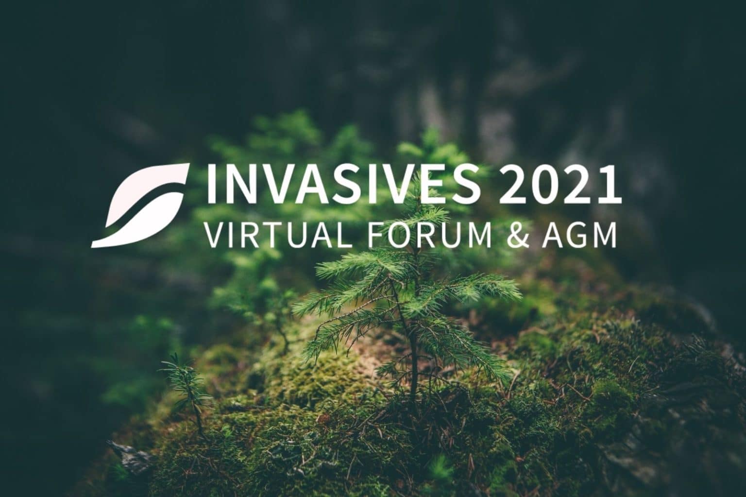 INVASIVES 2021 Forum Recordings Now Available - Invasive Species ...