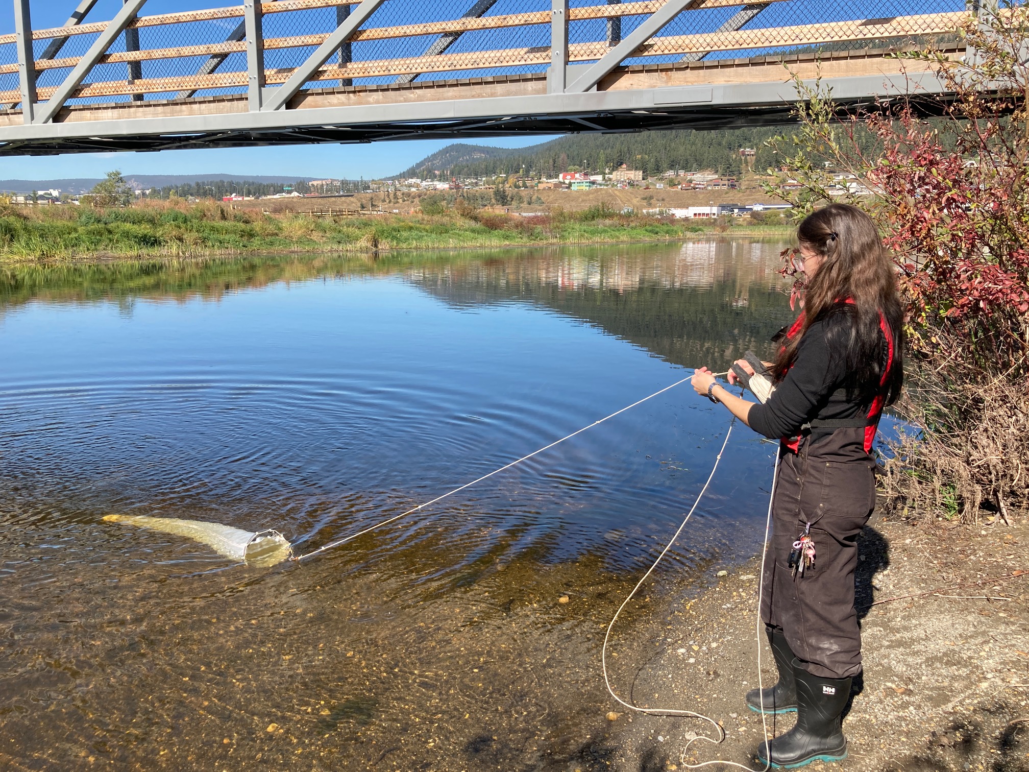 Early Detectors: A Summer of Mussel Monitoring - Invasive Species ...