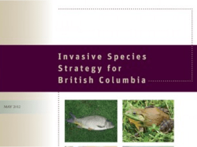 What We Do - Invasive Species Council of British Columbia