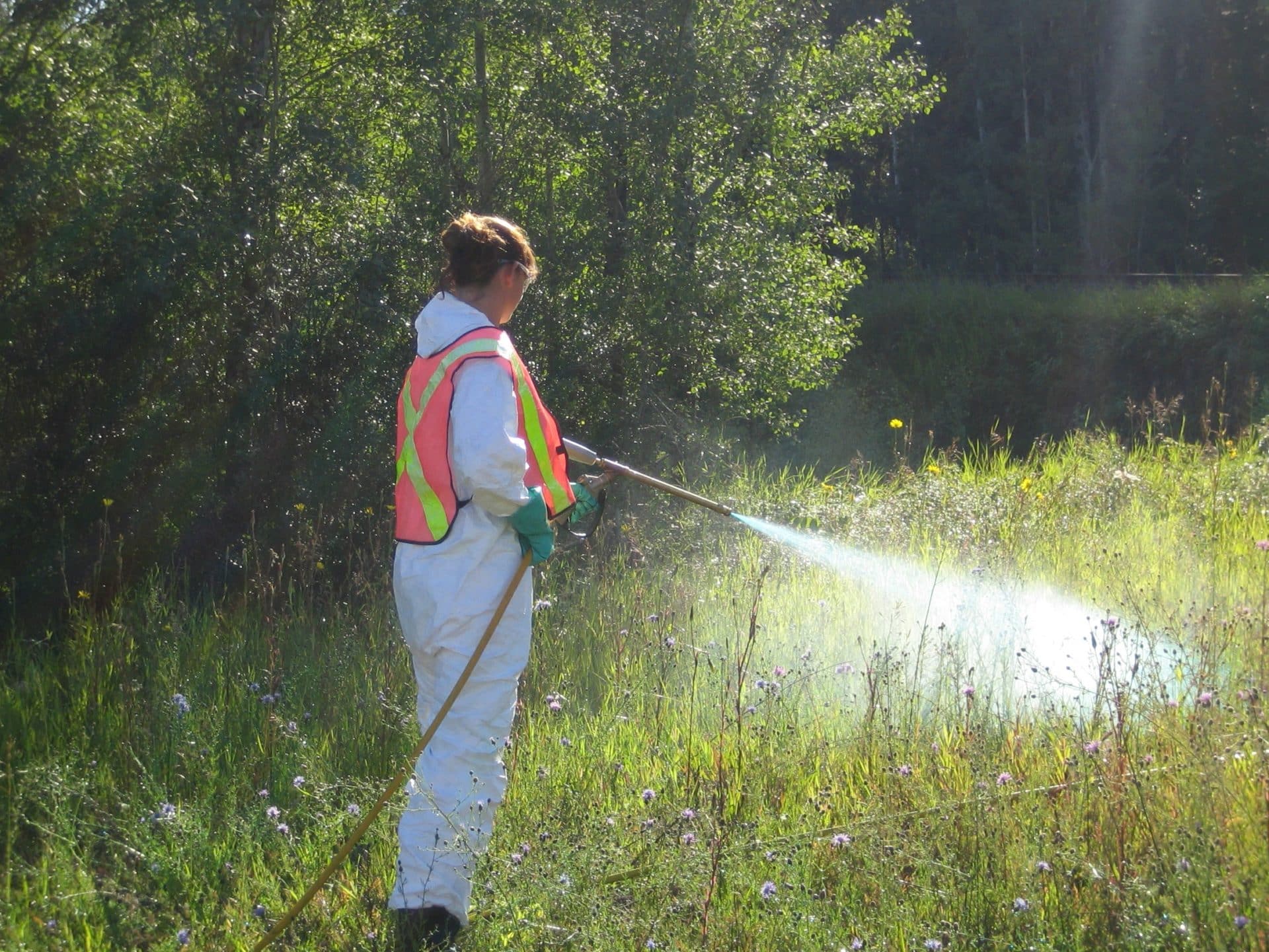 Announcing ISCBC's New eLearning Program - Invasive Species Council of ...