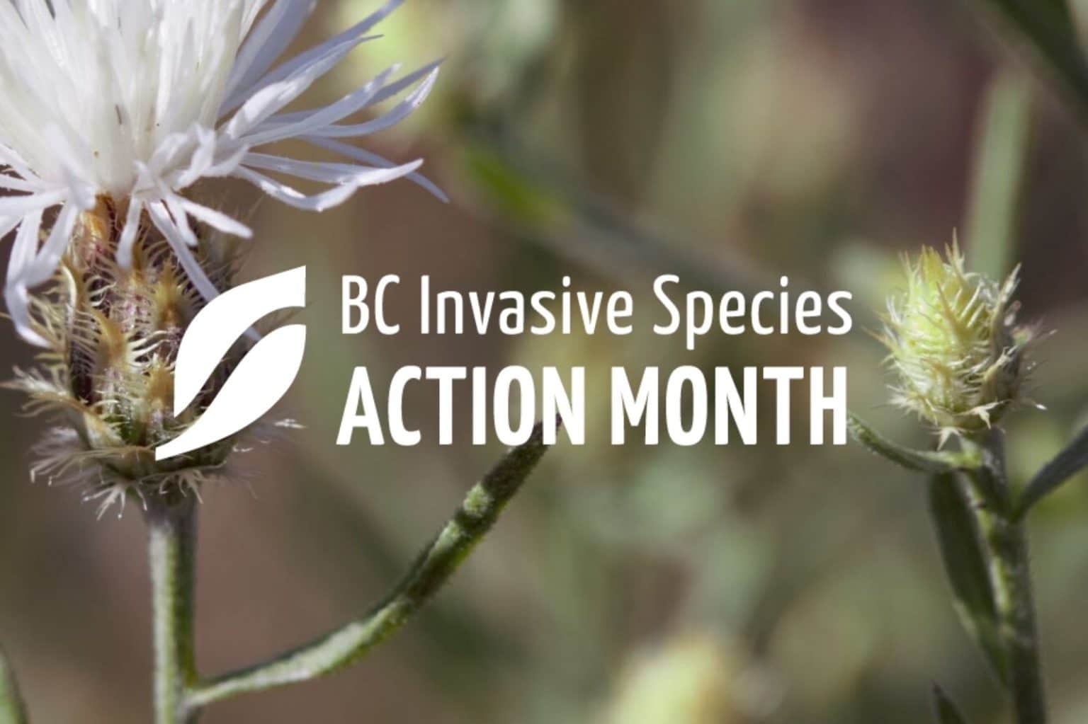 ISCBC Releases the ISAM Partner Toolkit - Invasive Species Council of ...