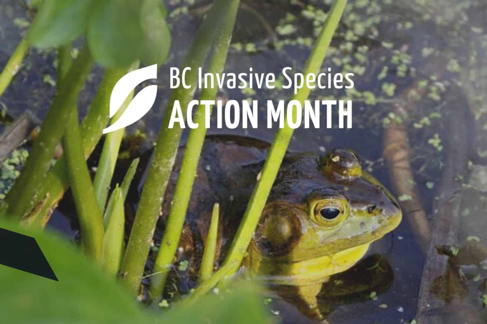 Webinar Gallery - Invasive Species Council of British Columbia