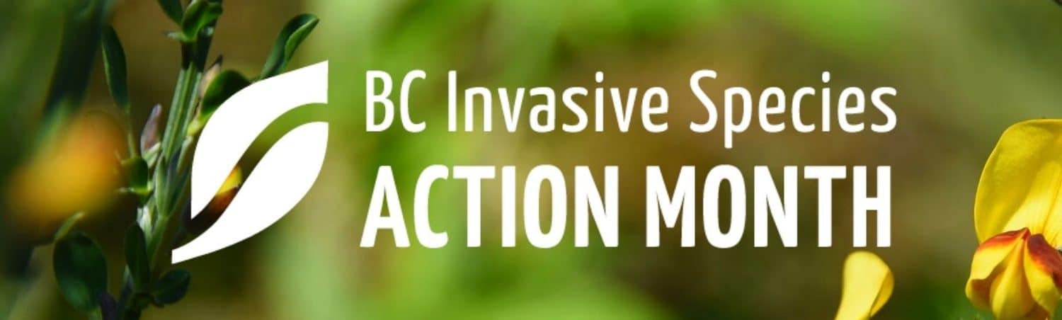 Invasive Species Action Month Makes Headlines - Invasive Species ...