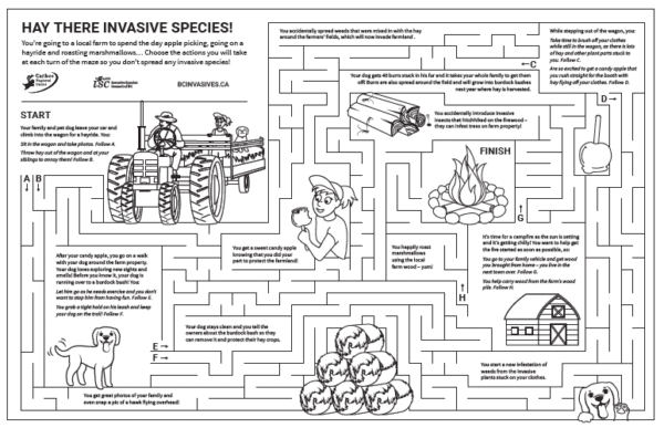 Games & Activities - Invasive Species Council of British Columbia
