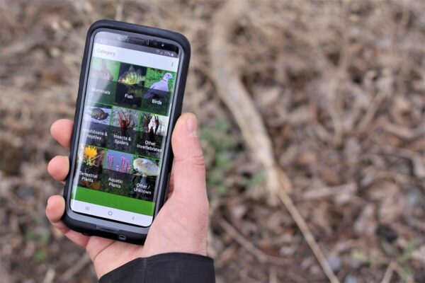 Report - Invasive Species Council of British Columbia