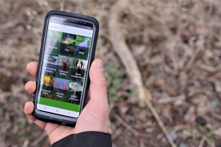 Report - Invasive Species Council of British Columbia