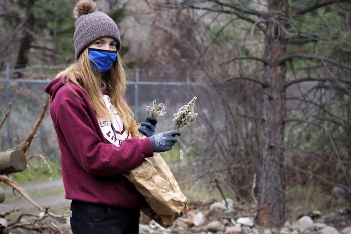 Community Spotlight: Sky Jarvis - Invasive Species Council of British ...