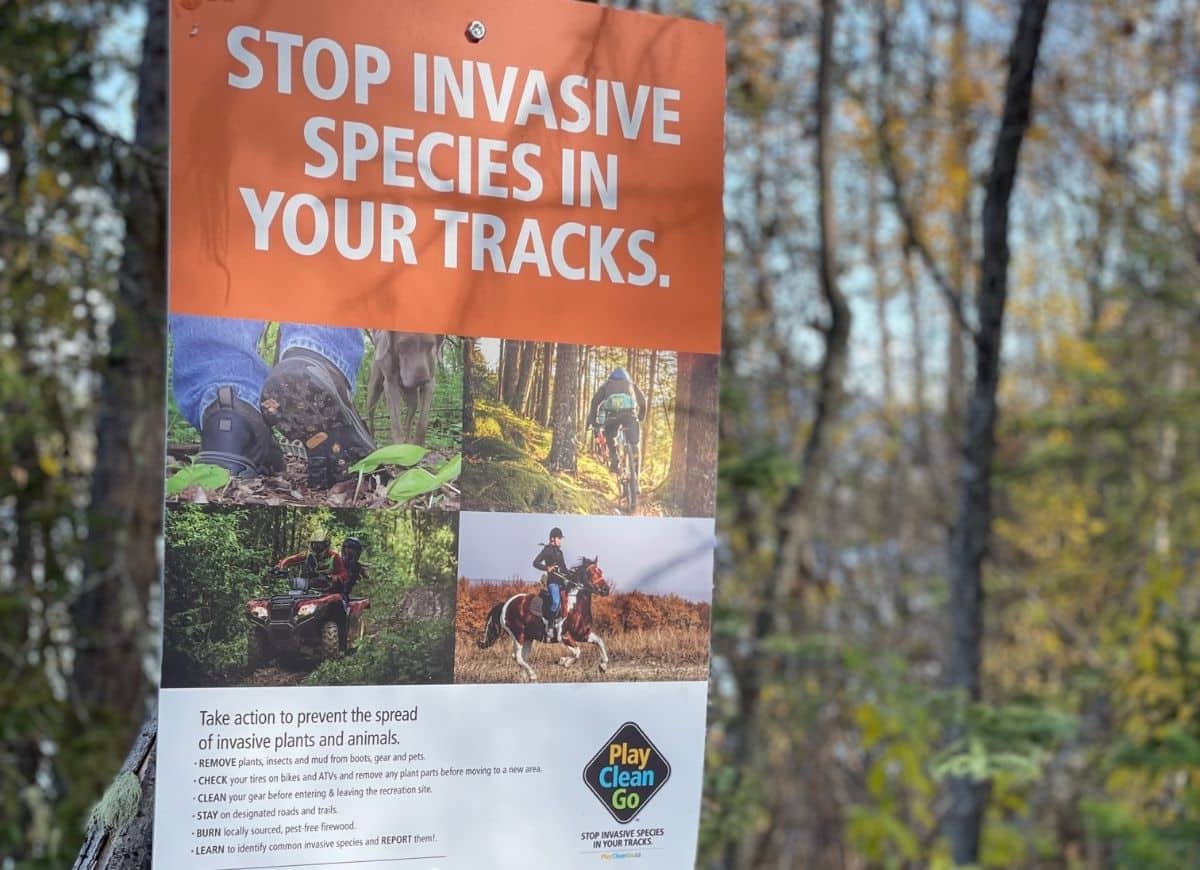 What We Do - Invasive Species Council of British Columbia