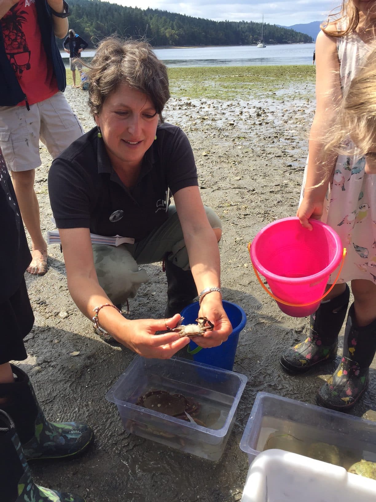 Webinar: Be Invasive-Wise! Engaging Ways to Educate Students on Aquatic Invasive Species ...