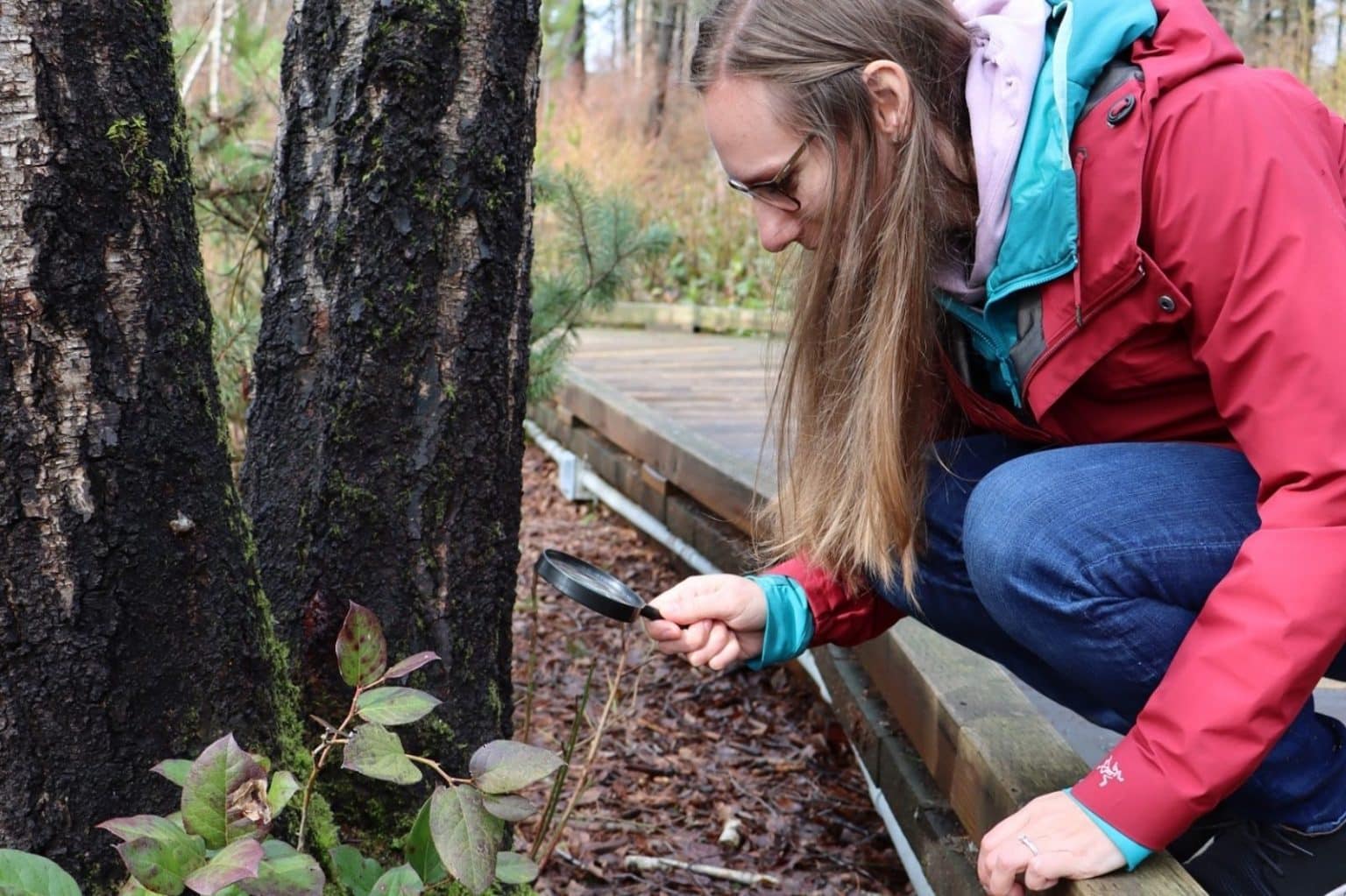 Invasive Species Council of British Columbia