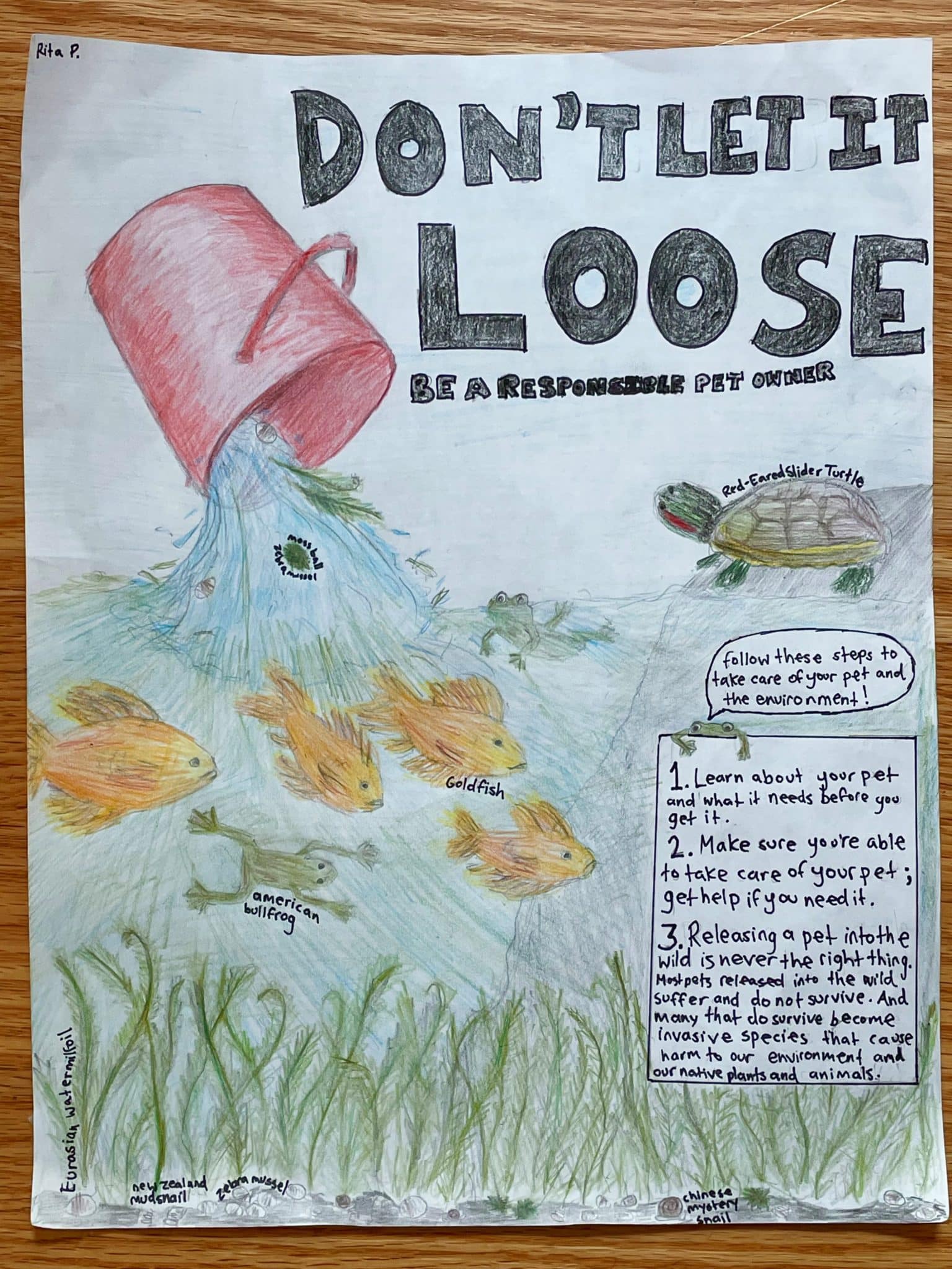 Invasive Species Action Month - Colouring Contest - Invasive Species ...