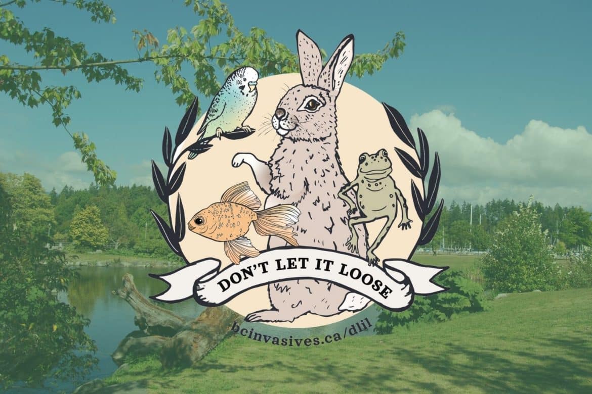Don't Let It Loose: The Spring Artist Series Release - Invasive Species ...