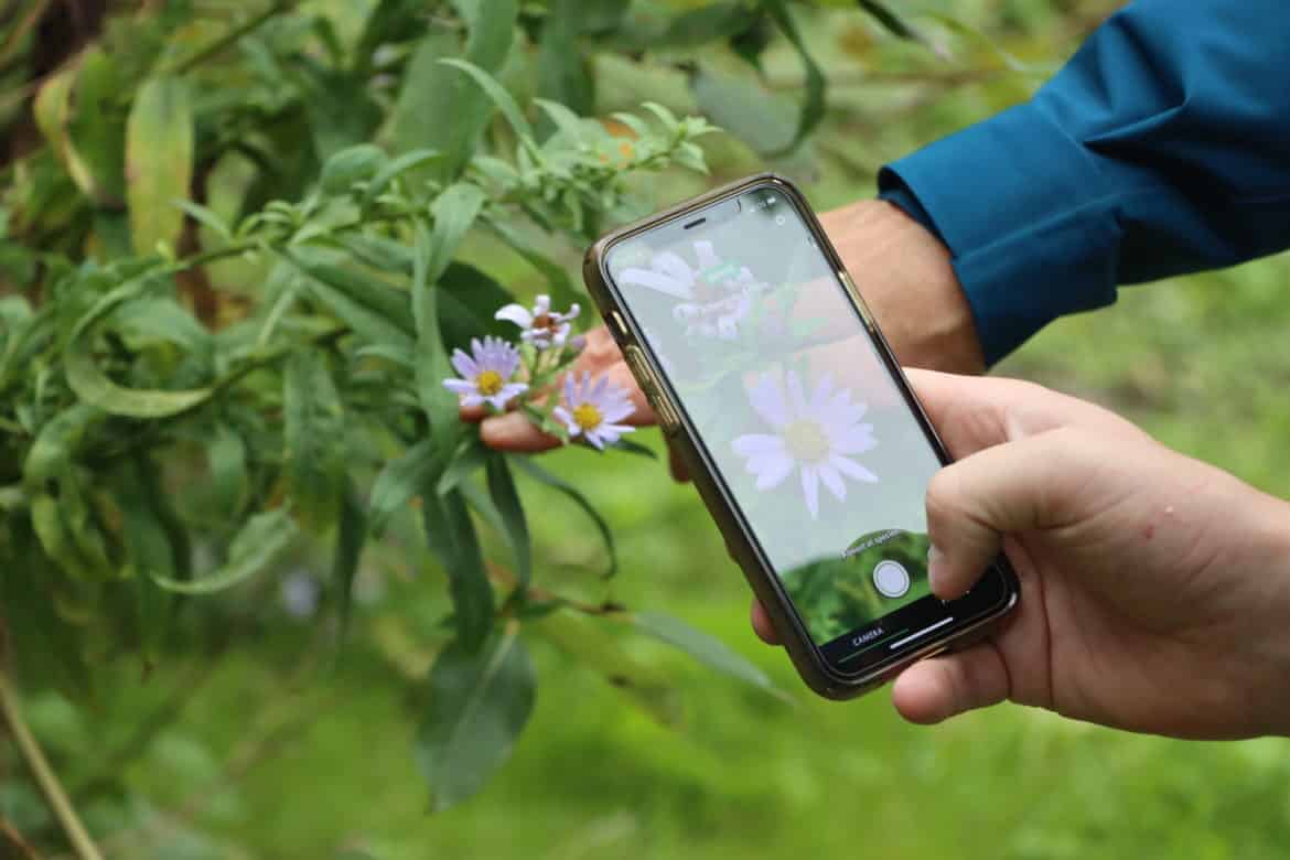 News & Events - Invasive Species Council of British Columbia