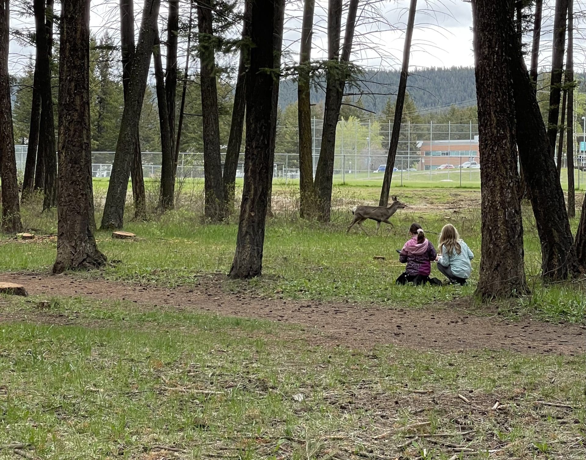 Kid-Friendly Field Guides Coming Soon to Williams Lake - Invasive ...