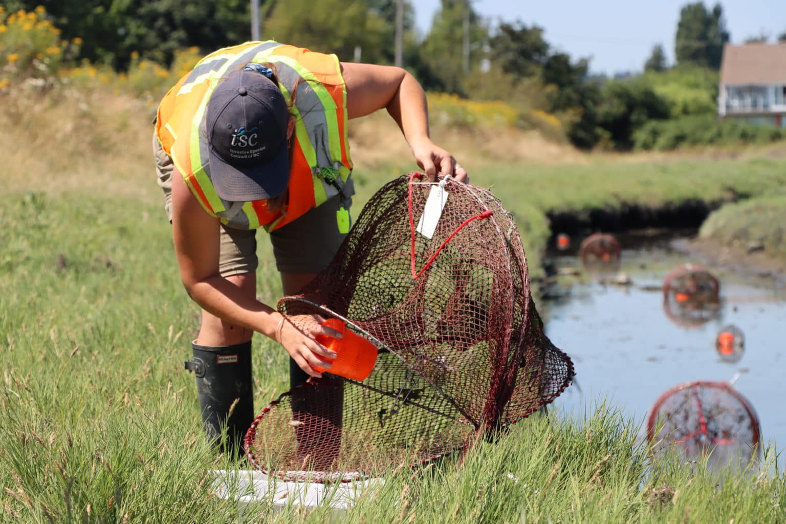 News & Events - Invasive Species Council of British Columbia