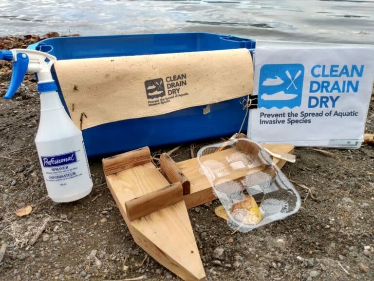 The Wetland Protection Project - Invasive Species Council of British ...