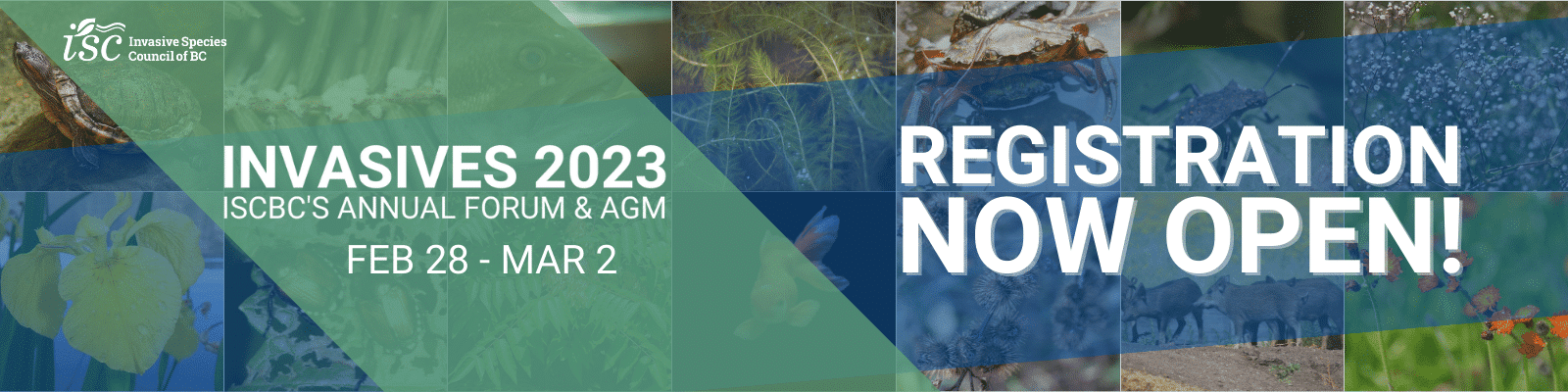 INVASIVES 2023 - ISCBC's Forum & AGM - Invasive Species Council of ...