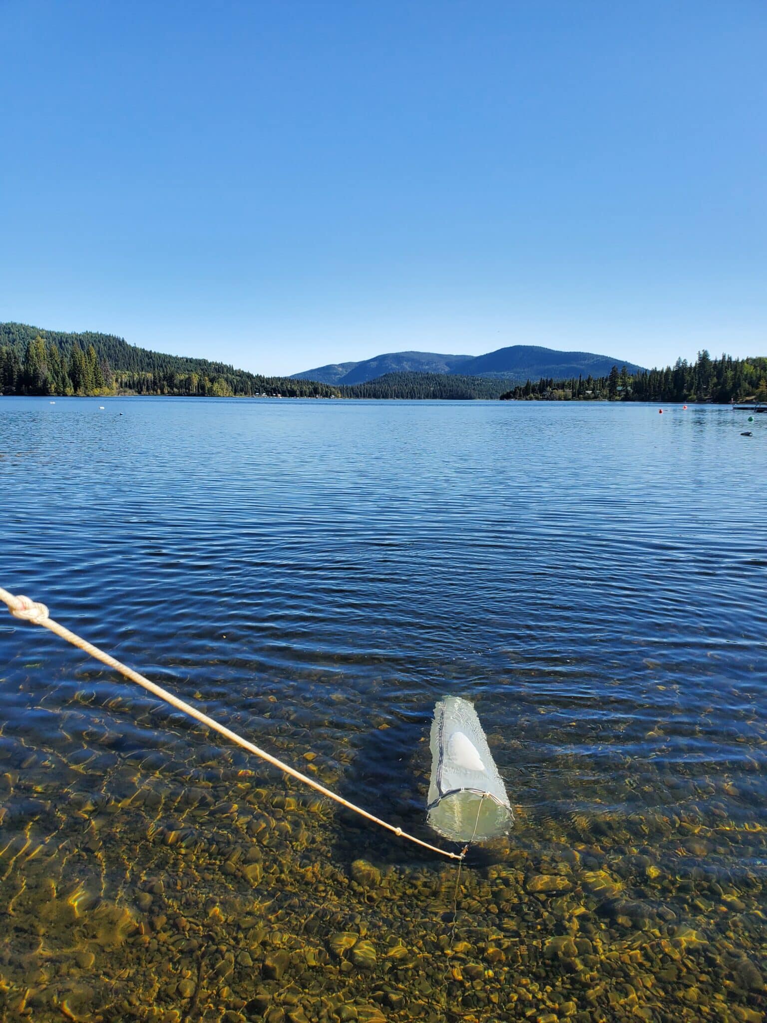 ISCBC Helping Maintain a Careful Watch over BC Waterways - Invasive ...