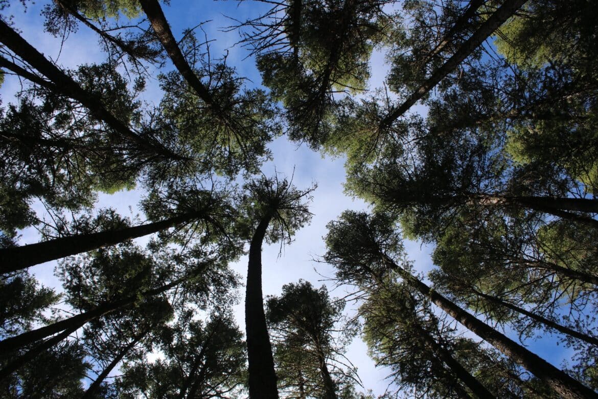 ISCBC Provincial Youth Summit: “Stewarding Connections With the Land ...