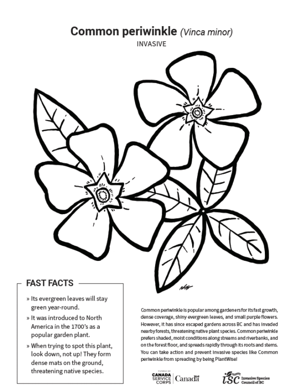 Games & Activities - Invasive Species Council of British Columbia