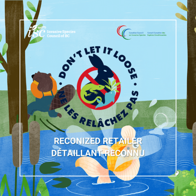 Invasive-Wise Don't Let it Loose - Invasive Species Council of British ...