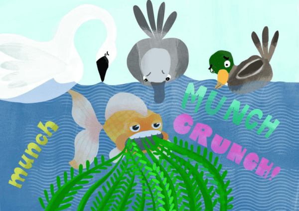 Munch, Munch, Crunch – ISCBC’s First Children’s Book Makes a Splash ...