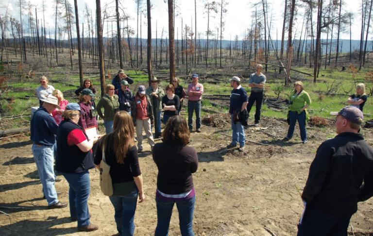 Invasive Species Action Month Success Story Series: Elephant Hill ...