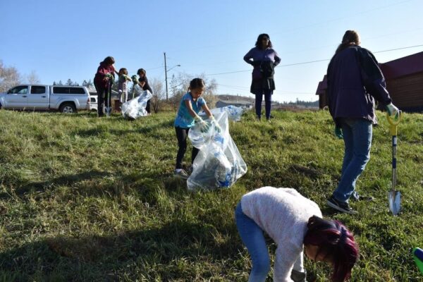 Invasive Species Action Month Success Story Series: Supporting ...