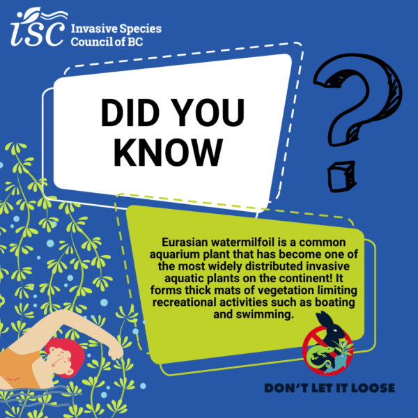 Invasive-Wise Don't Let it Loose - Invasive Species Council of British ...