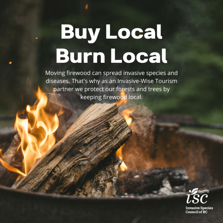 Invasive-Wise Tourism - Invasive Species Council of British Columbia