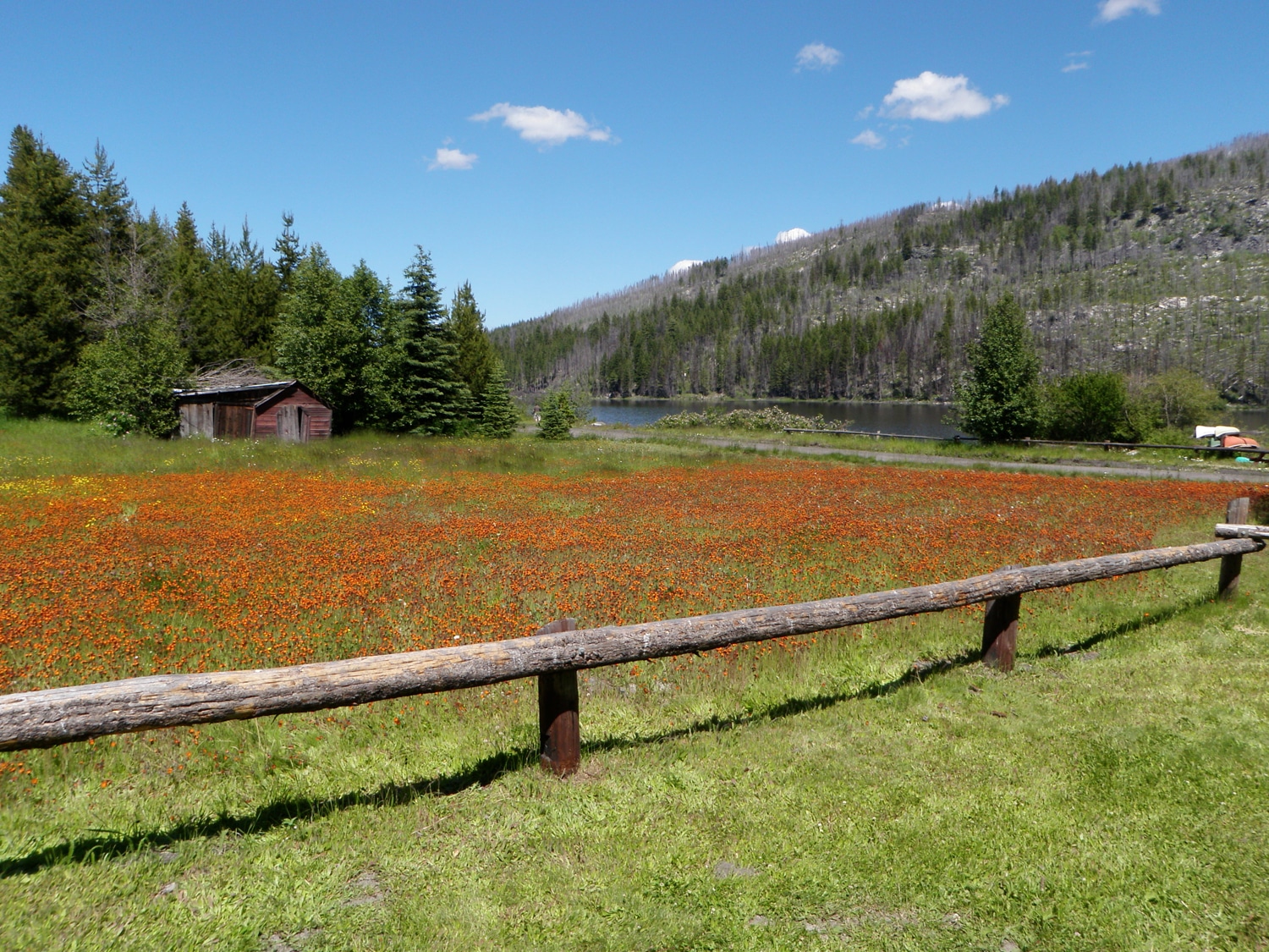 Report - Invasive Species Council of British Columbia