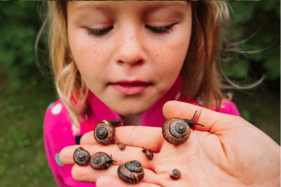 Games & Activities - Invasive Species Council of British Columbia