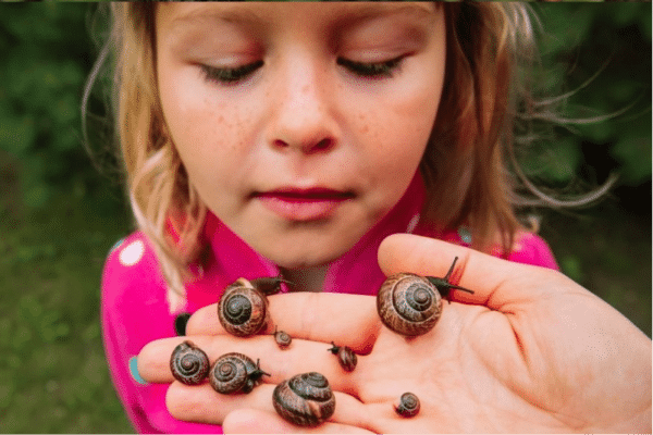 Games & Activities - Invasive Species Council of British Columbia