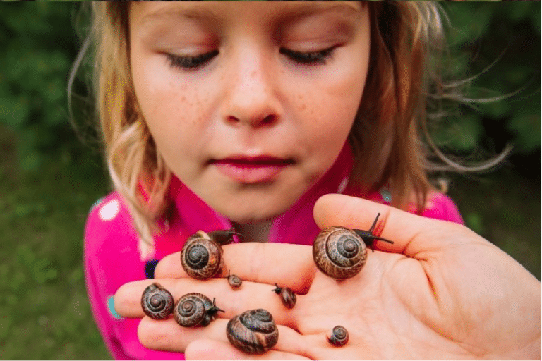 Games & Activities - Invasive Species Council of British Columbia