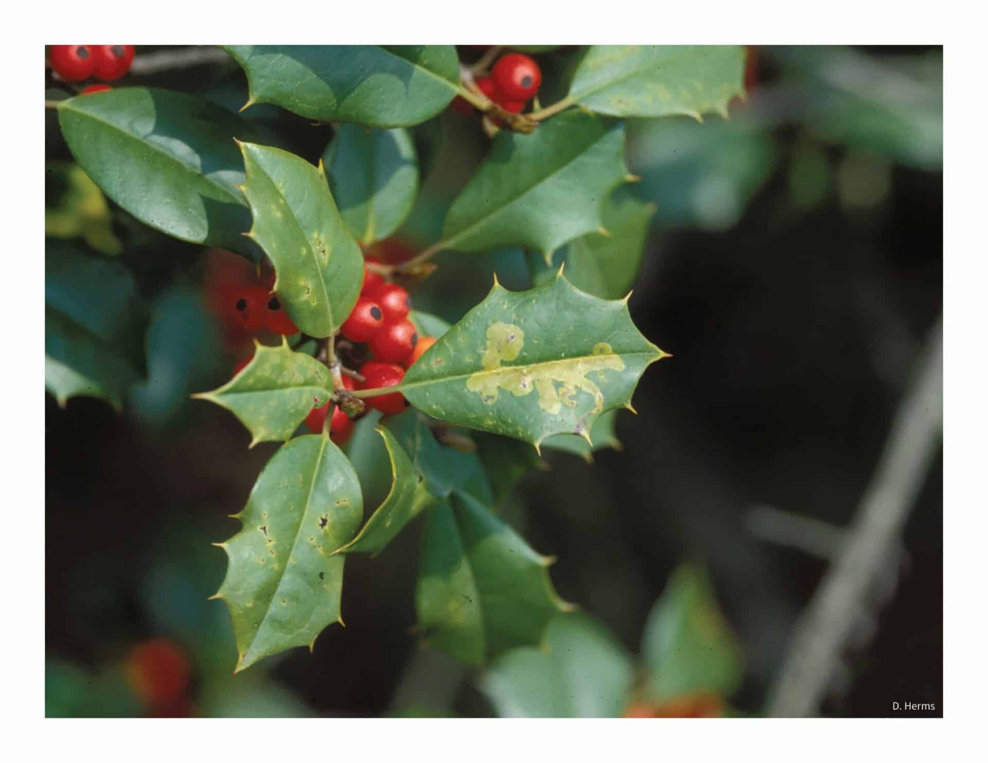 TEACHING CARDS - Invasive Species Council of British Columbia