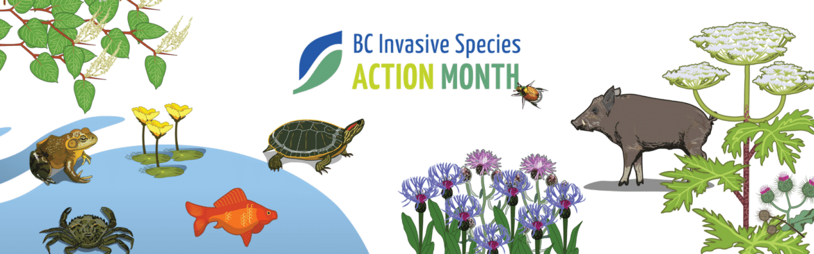 Invasives Forum 2024 - Invasive Species Council of British Columbia