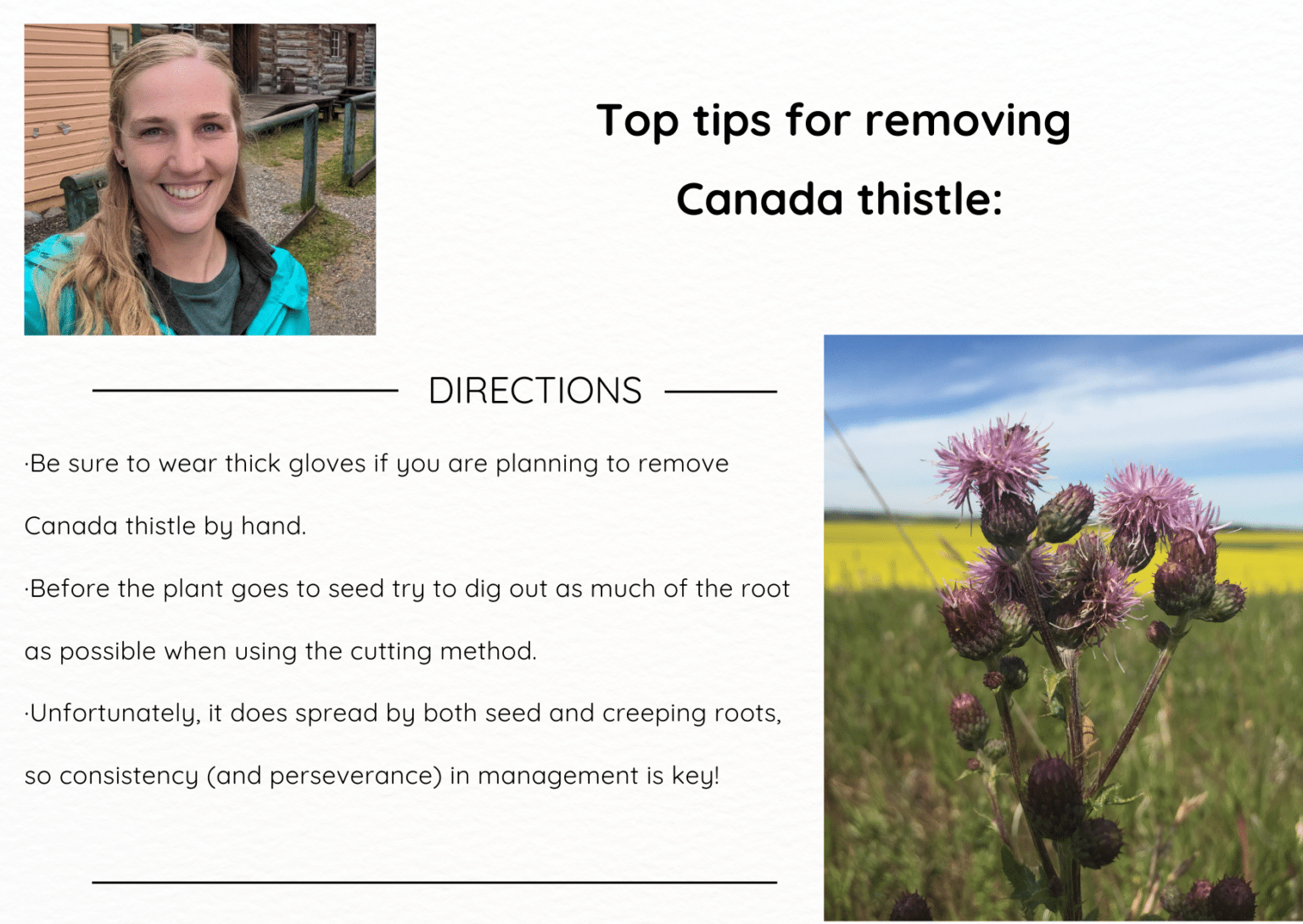 Time to Remove: Top tips on how to remove some fierce invasive plants ...