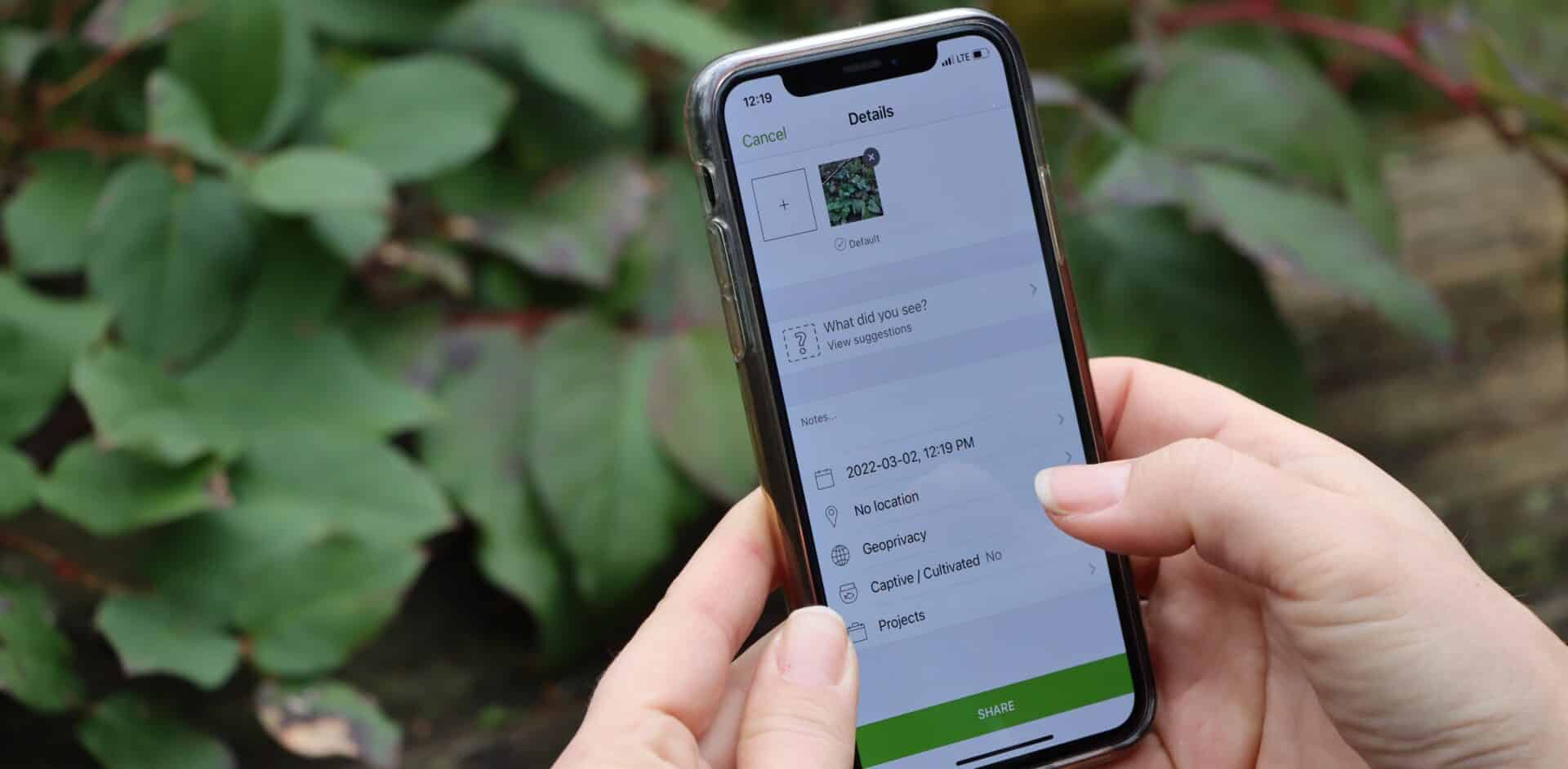 Now that you can identify an invasive species, what are you going to do ...