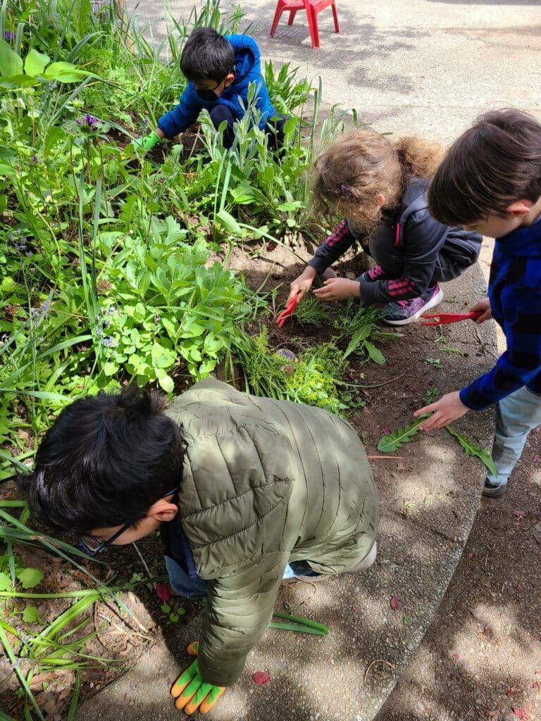 20 Minutes a Week of Invasive Species Club Inspires Positive Change at ...