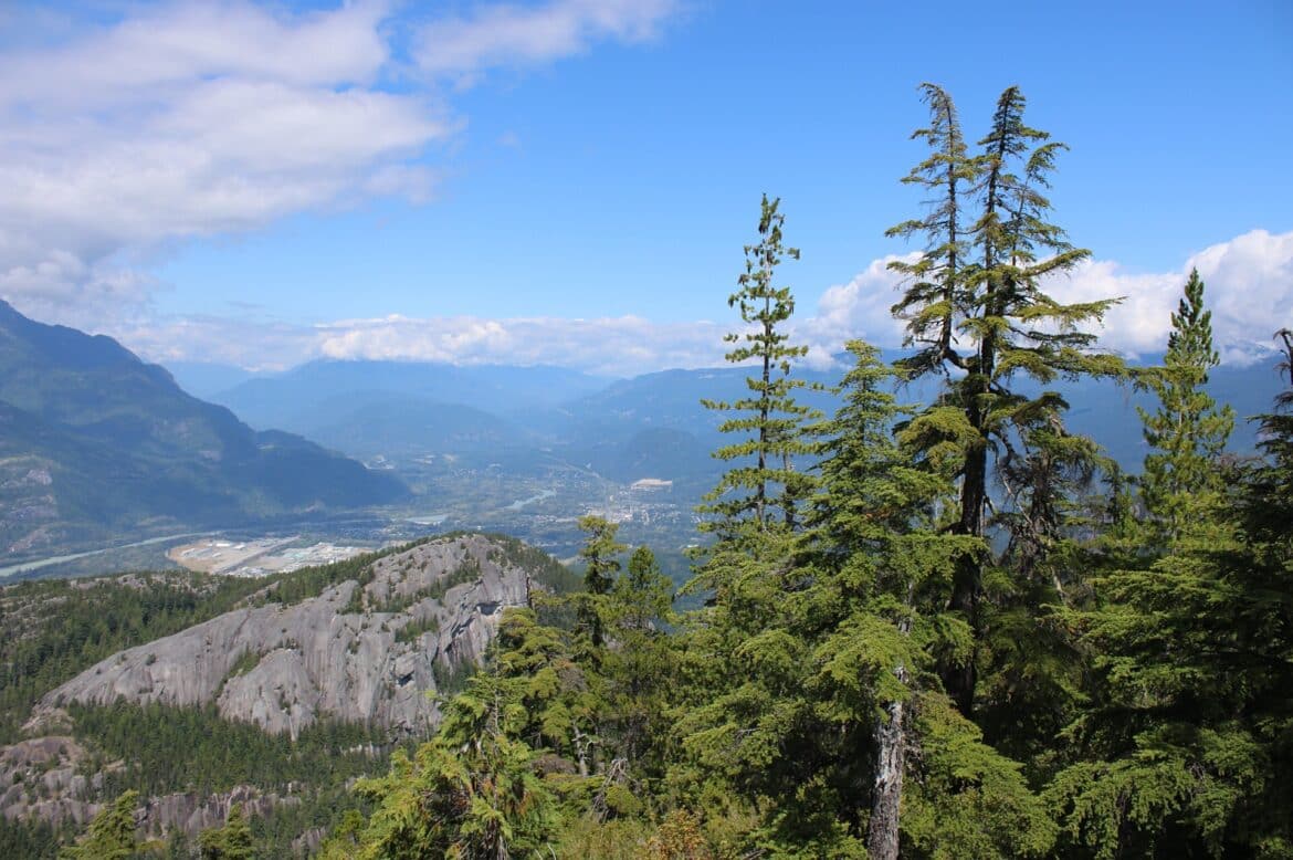 Invasive Species Council of British Columbia