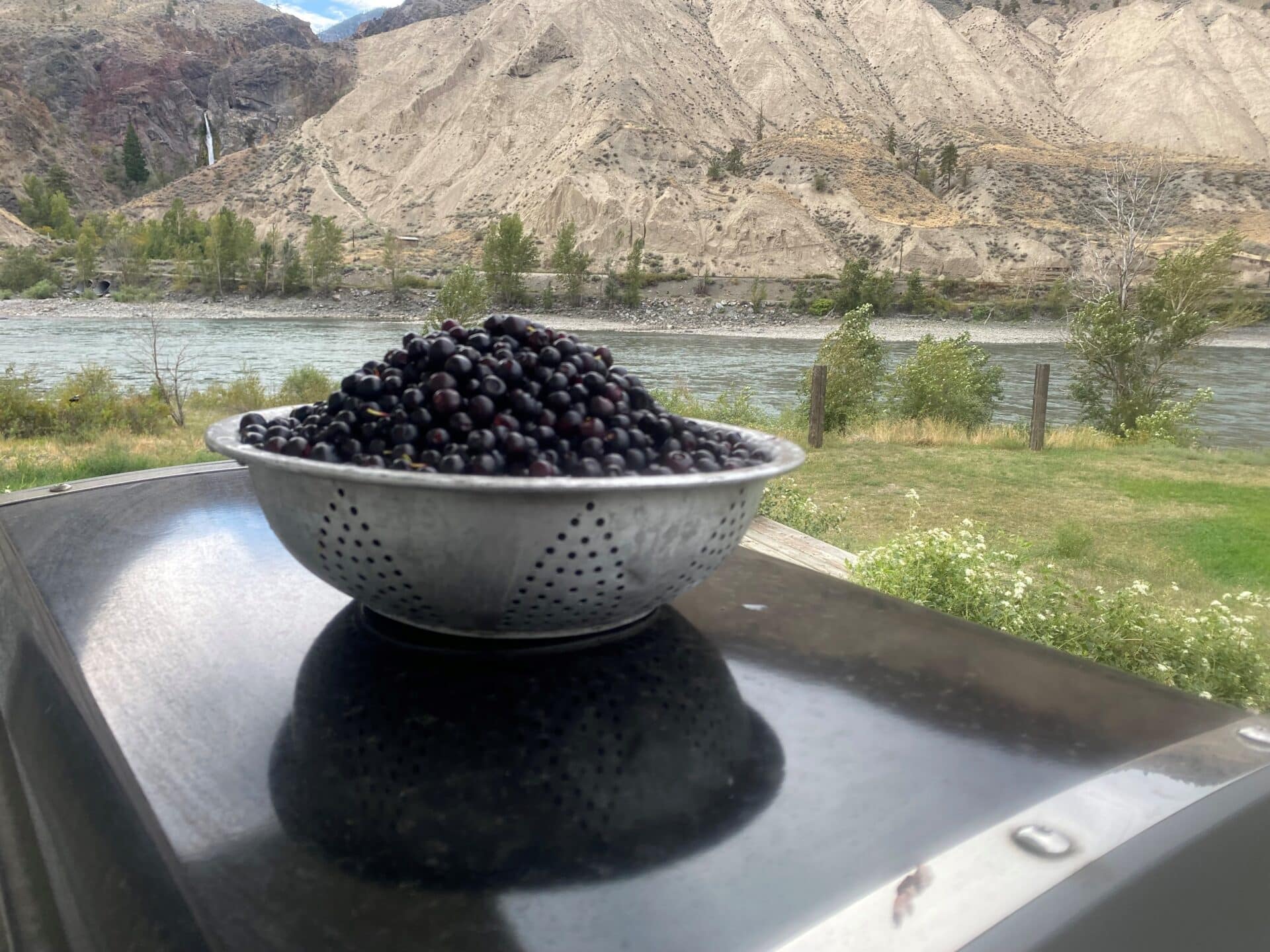 Invasive Species and the Huckleberry Harvest: Protecting this First ...