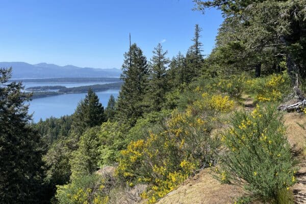 Invasive Species Council of British Columbia