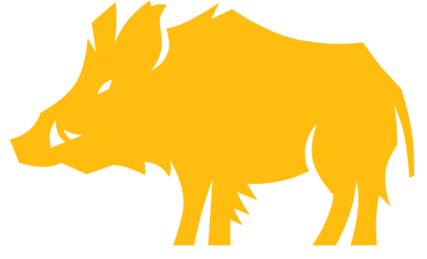 Invasive Pigs - Invasive Species Council of British Columbia