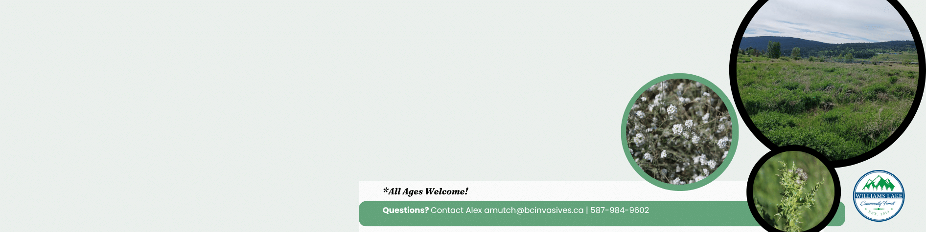 ISCBC Invasive Weed Removal Day - Invasive Species Council of British ...