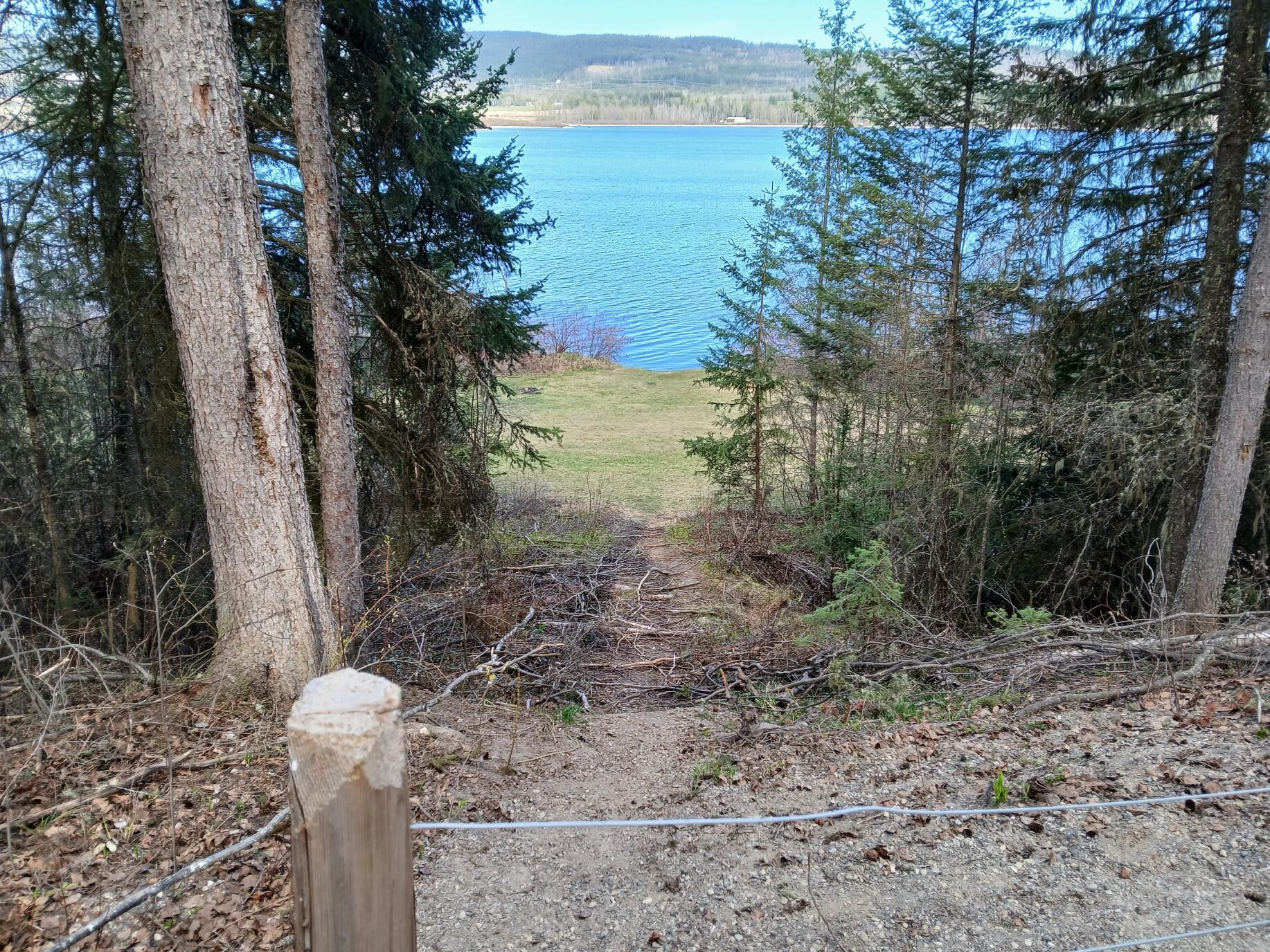 Pioneer Park: Weed Pull - Invasive Species Council of British Columbia